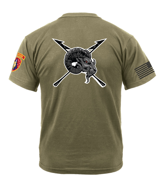 5th BN 5th SFAB AR 670-1 Coyote Brown T-Shirt with Two Sleeve Print ...